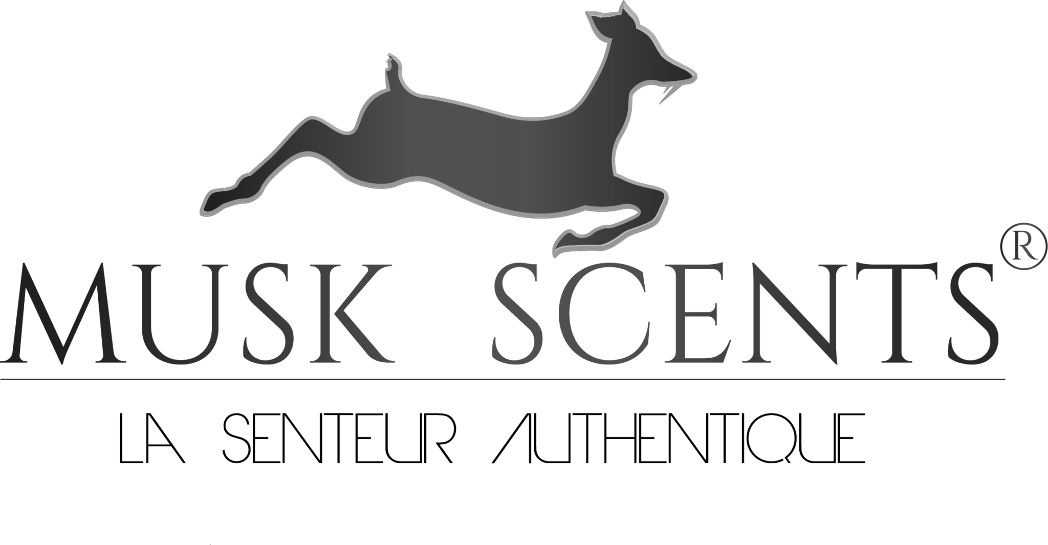 Musk Tonkin – Musk Scents