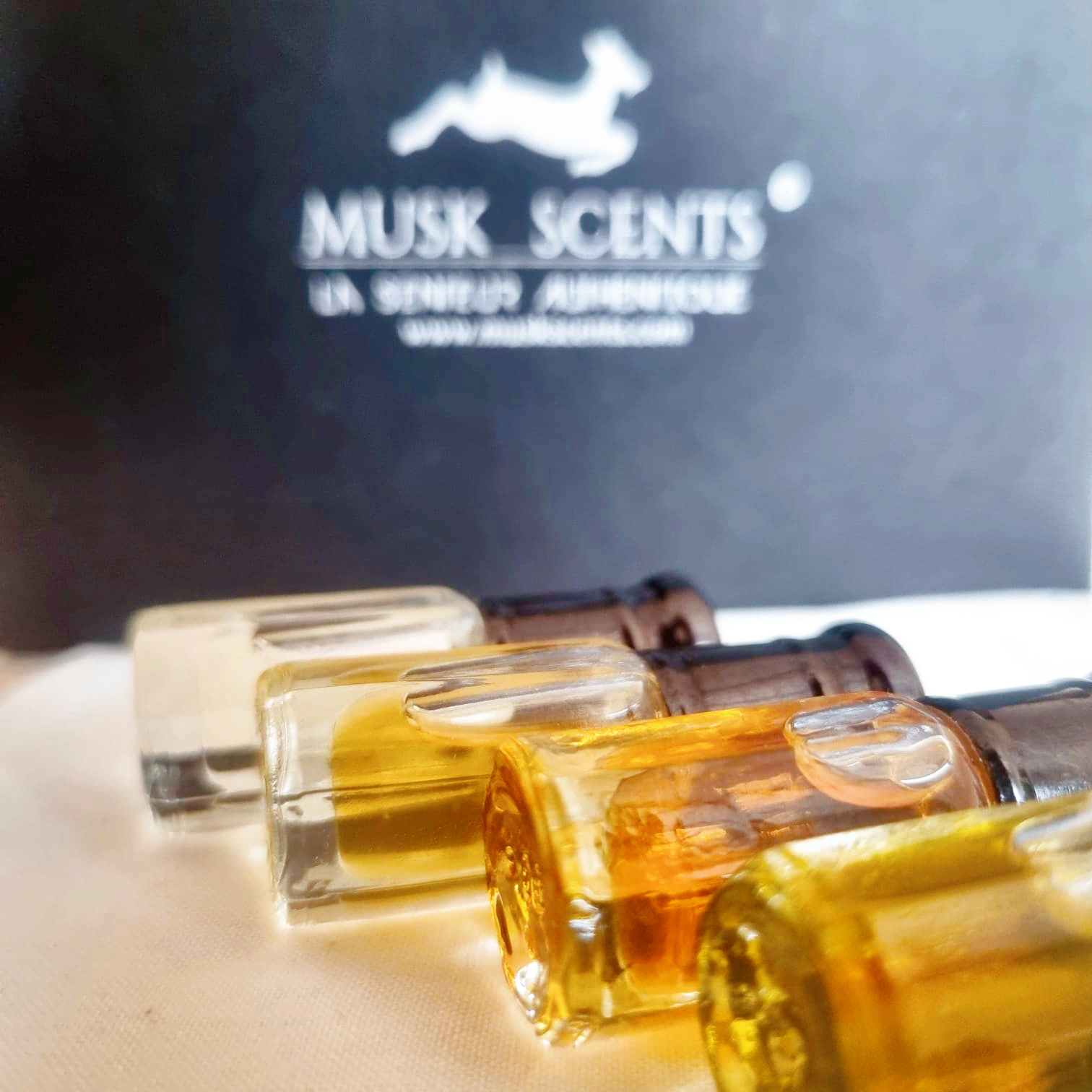 Musc parfum mixte - Musk Scents - Maison de parfum